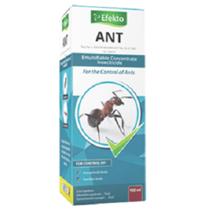 Doors & Windows - Mercury Build it